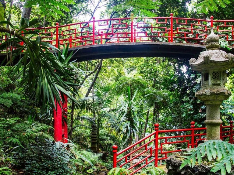 Top 15 coisas para ver e fazer em Funchal, Madeira
