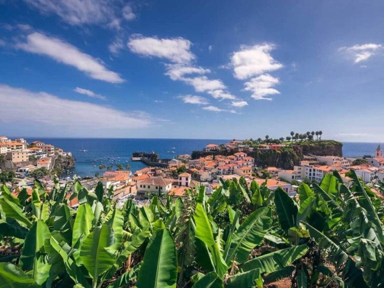 Discover Macaronesia: Paradise of Fortunate Islands