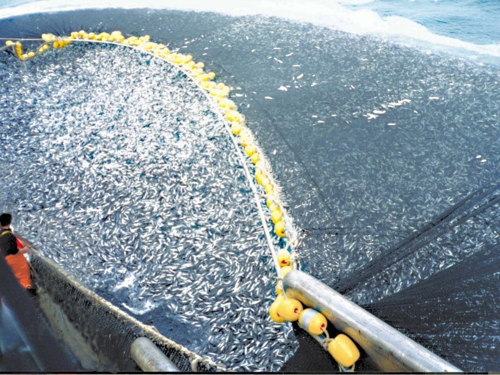 Entdecken Sie Makaronesien: Paradies der glücklichen Inseln